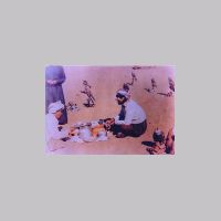 Sheikh Zayed Photo Gallery