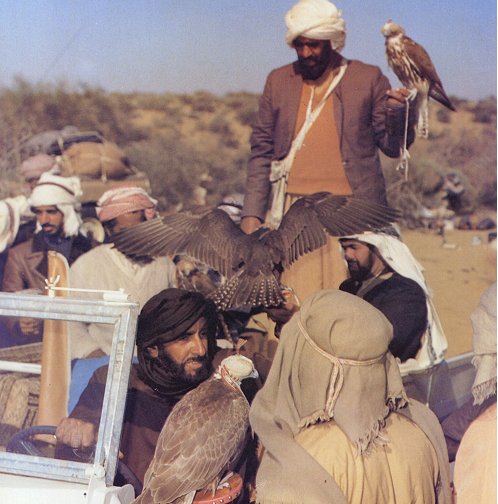 Sheikh Zayed Photo Gallery