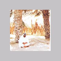 Sheikh Zayed Photo Gallery