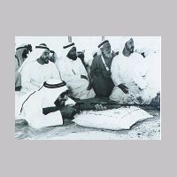 Sheikh Zayed Photo Gallery