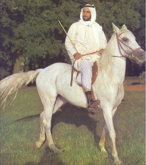 Sheikh Zayed Photo Gallery