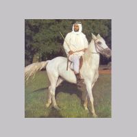 Sheikh Zayed Photo Gallery