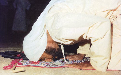 Sheikh Zayed Photo Gallery